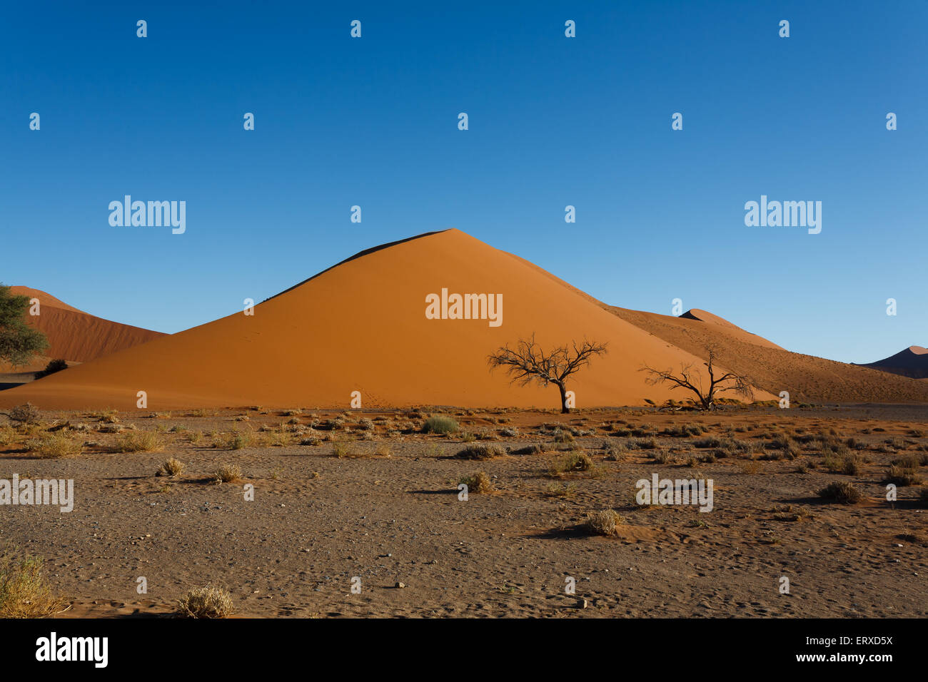 Red dunes on the road to Sossusvlei, Namibia Stock Photo - Alamy