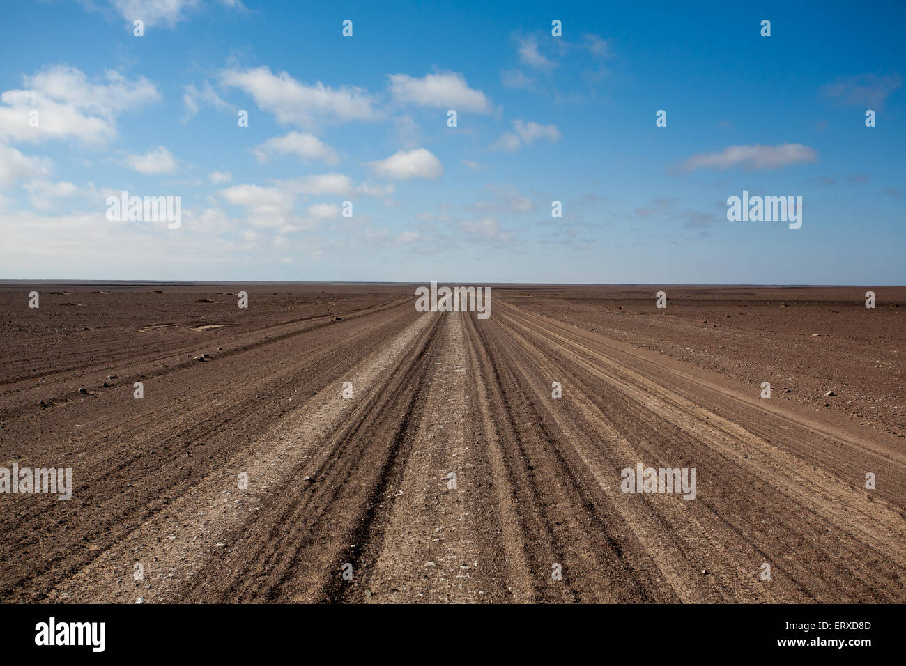 Salt road from Skeleton coast, Namibia Stock Photo - Alamy