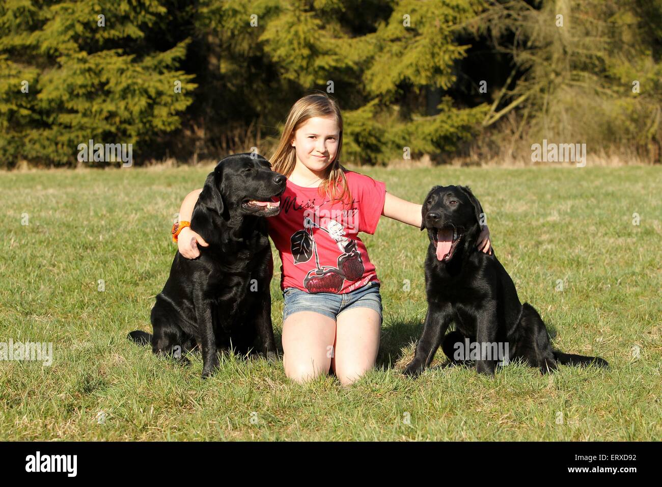 girl with Labrador Retriever Stock Photo - Alamy