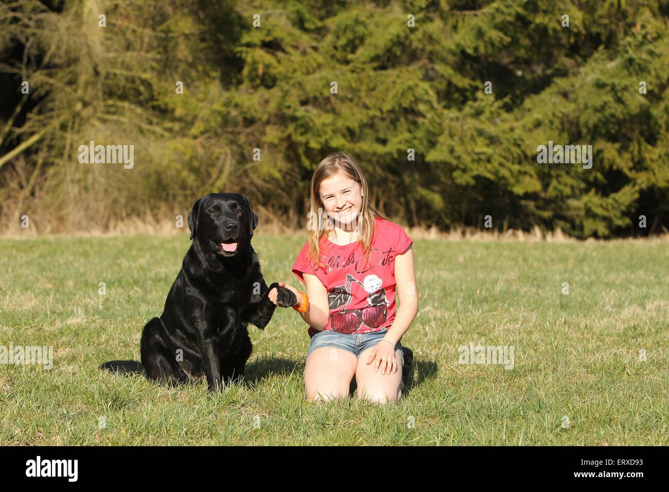 Young girl dog labrador retriever hi-res stock photography and images ...