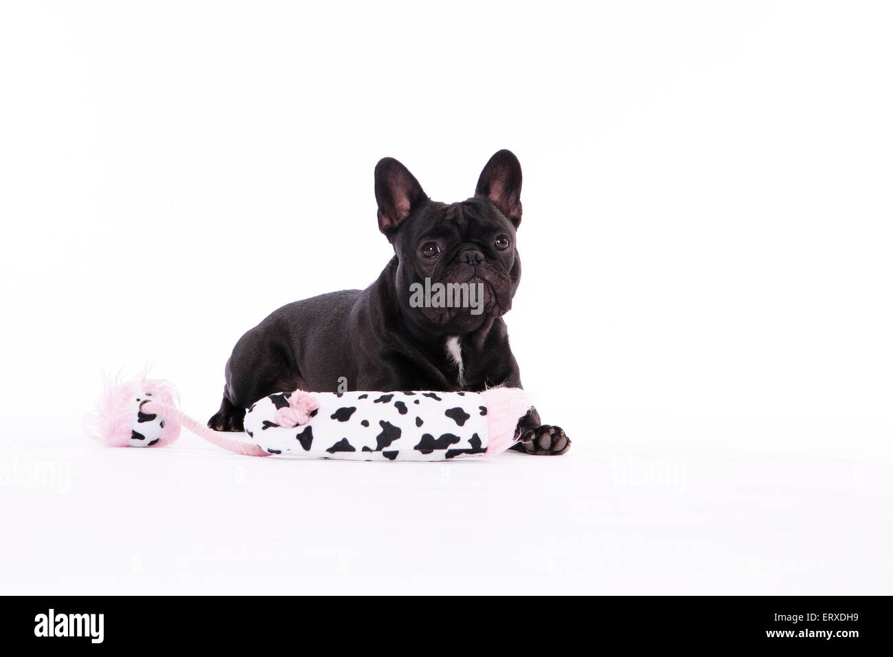 Black french landscape Cut Out Stock Images & Pictures - Alamy