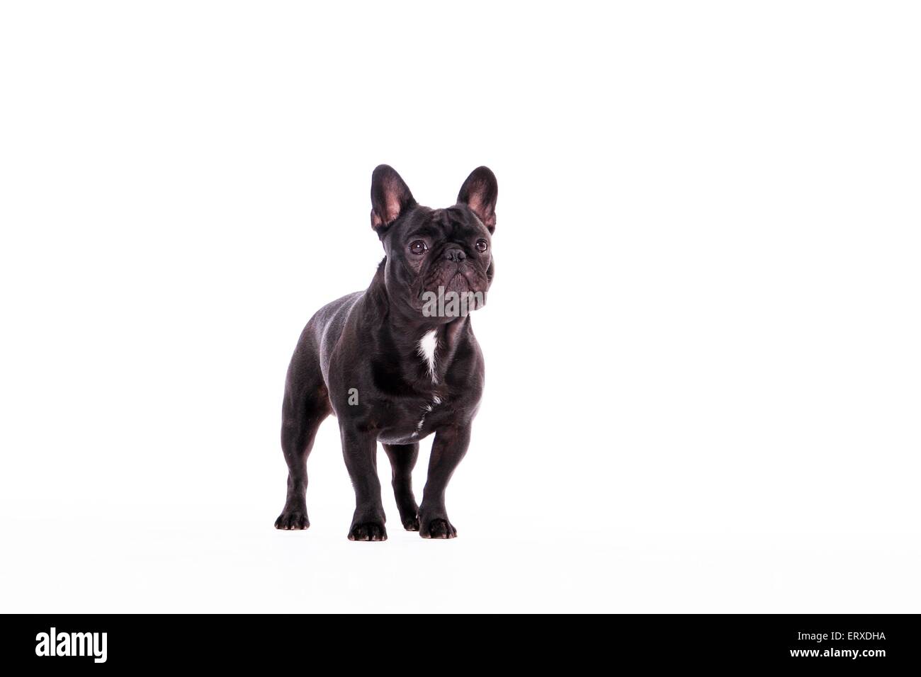 Black french landscape Cut Out Stock Images & Pictures - Alamy