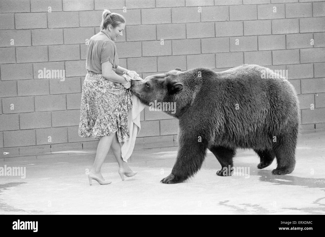 Hercules The Grizzly Bear, with owners Andy & Maggie Robin, at his new ...