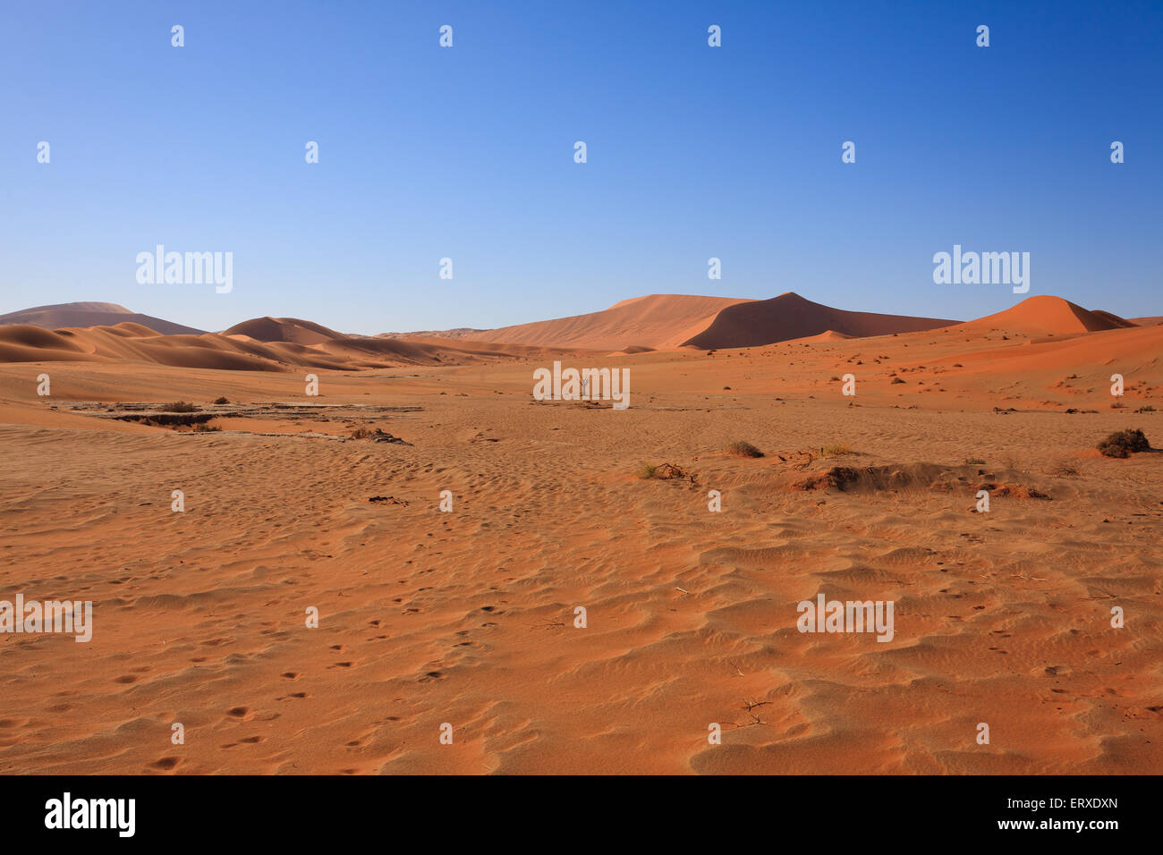 Panorama of red dunes from Sossusvlei Namibia Stock Photo - Alamy