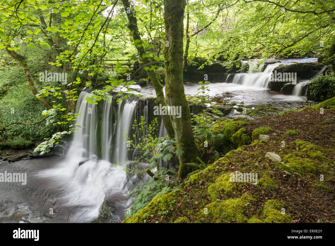 Crackpot waterfall in Swaledale in the Yorkshire Dales Stock Photo - Alamy