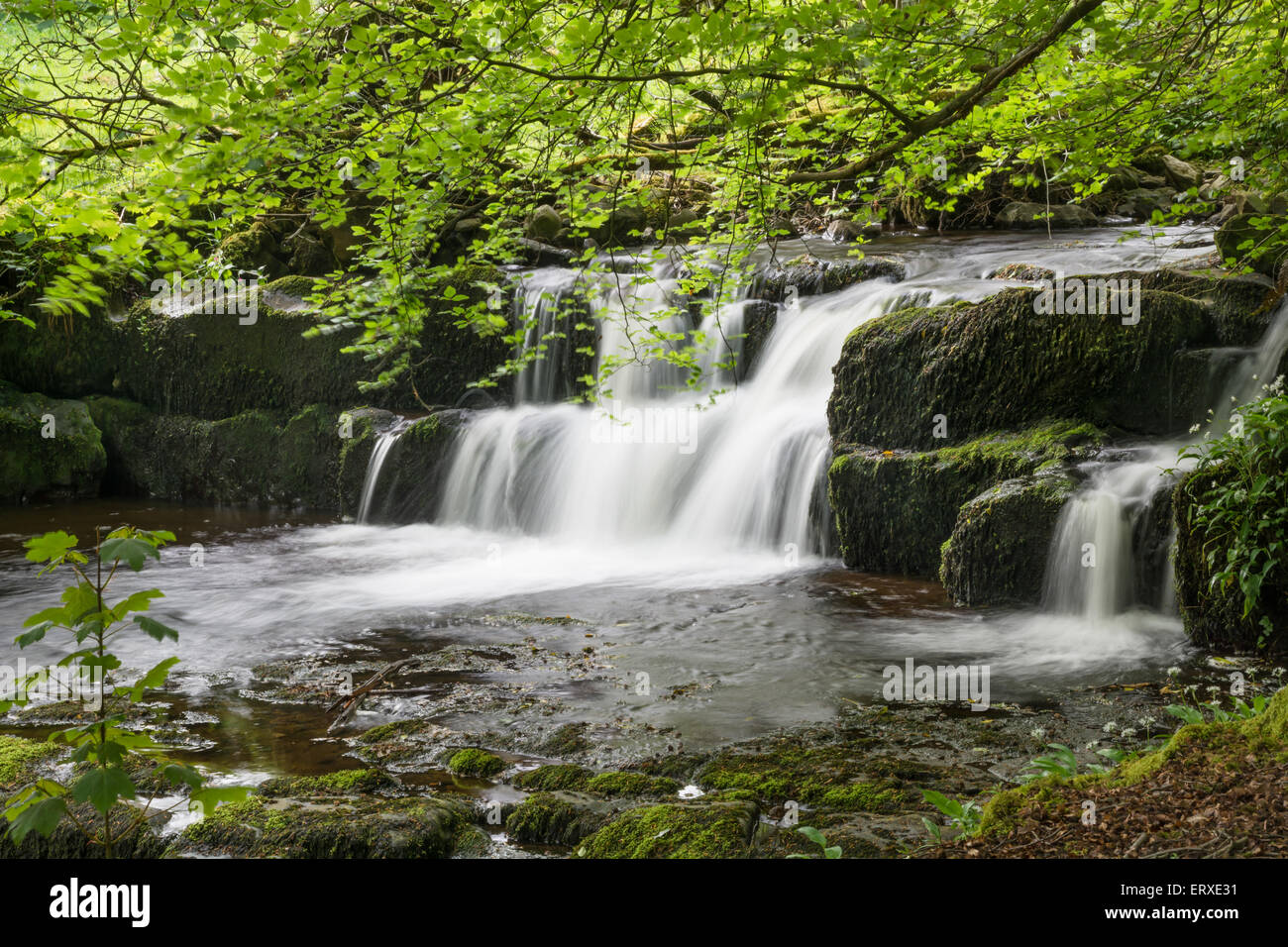 Crackpot waterfall in Swaledale in the Yorkshire Dales Stock Photo - Alamy