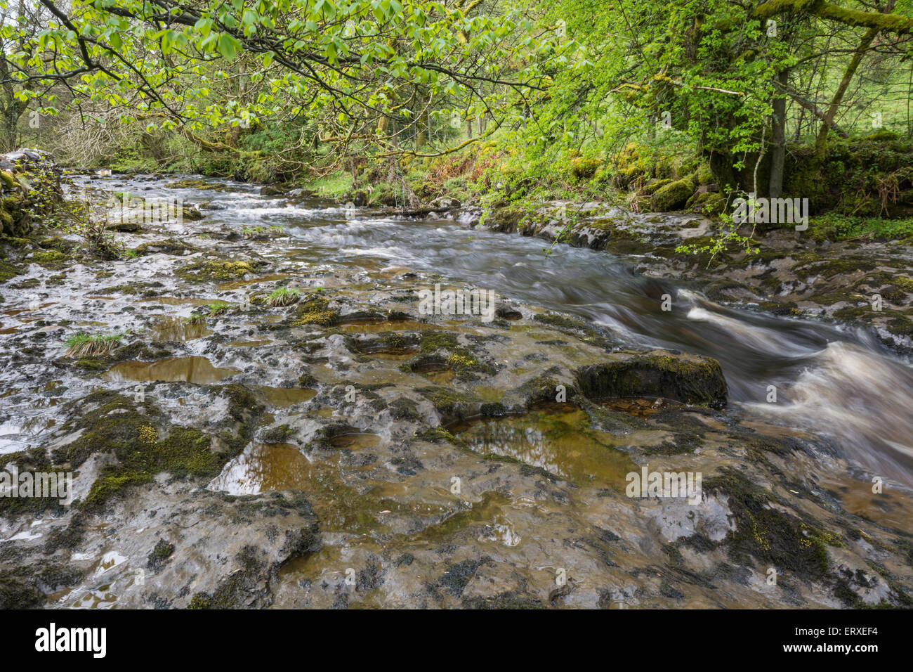 River Dent in Dentdale in the Yorkshire Dales Stock Photo - Alamy