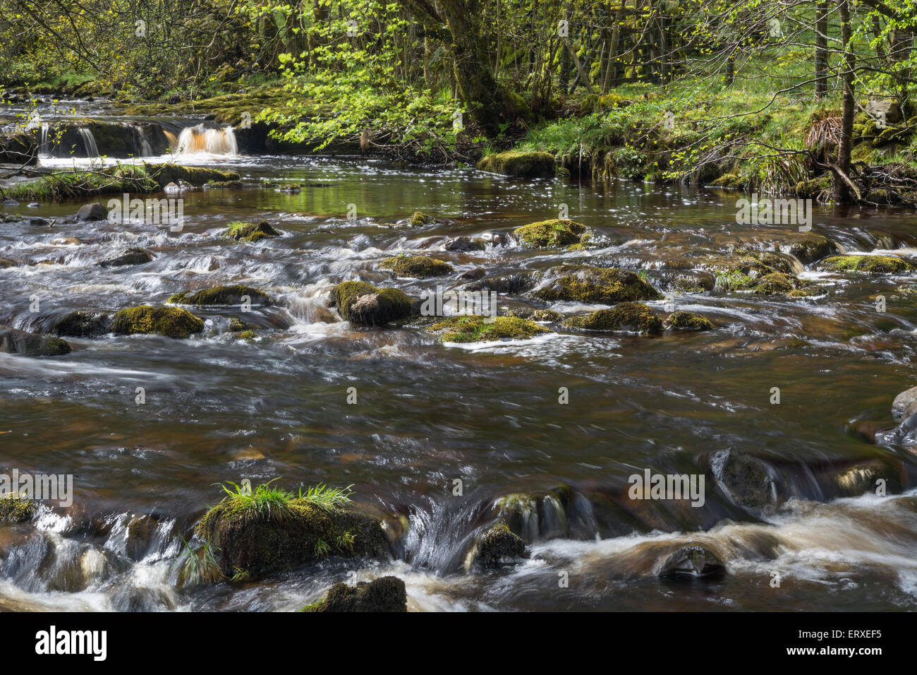 River Dent in Dentdale in the Yorkshire Dales Stock Photo - Alamy
