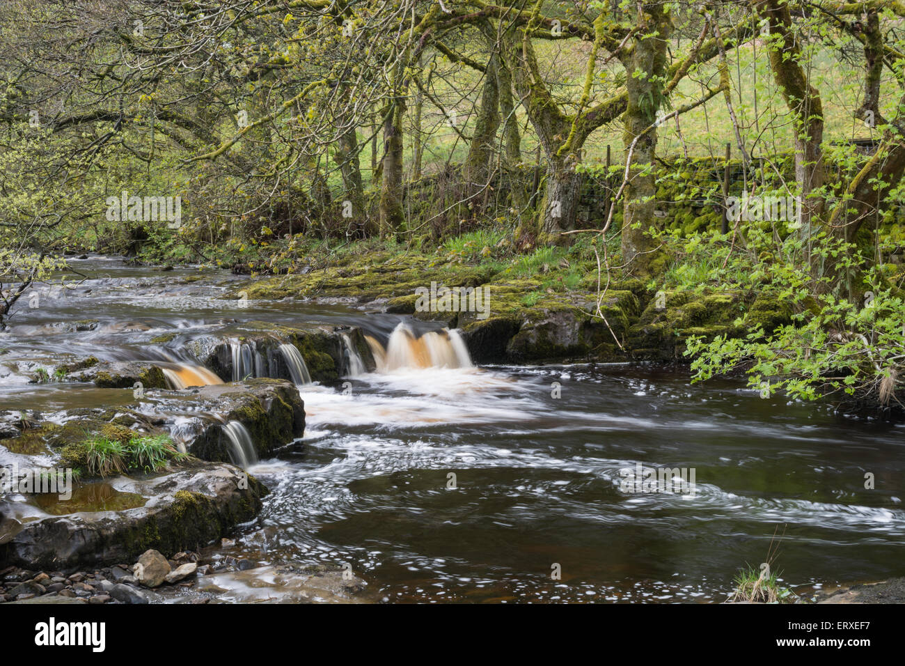River Dent in Dentdale in the Yorkshire Dales Stock Photo - Alamy