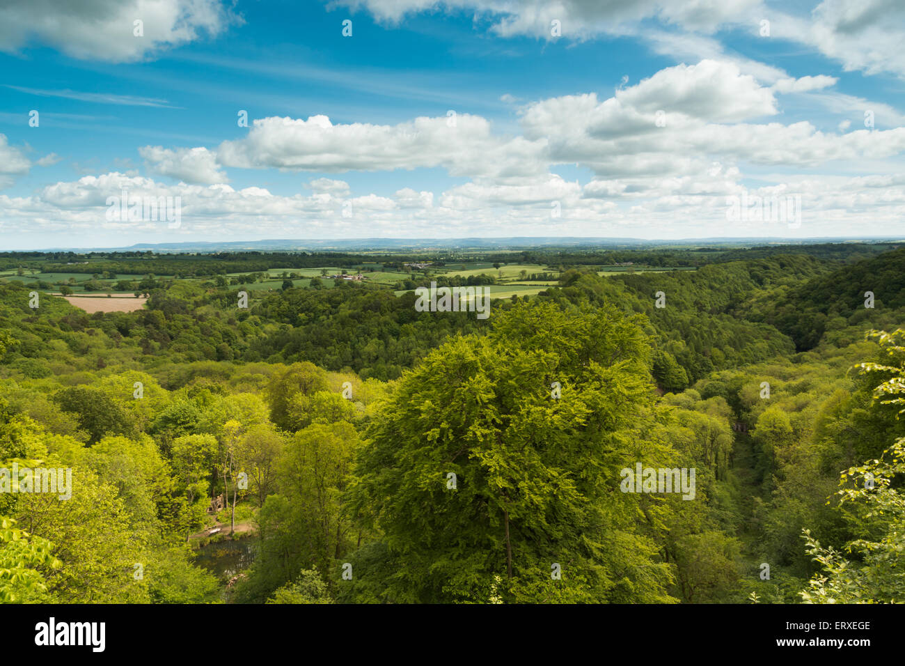 View of the Hambleton Hills in North Yorkshire Stock Photo - Alamy