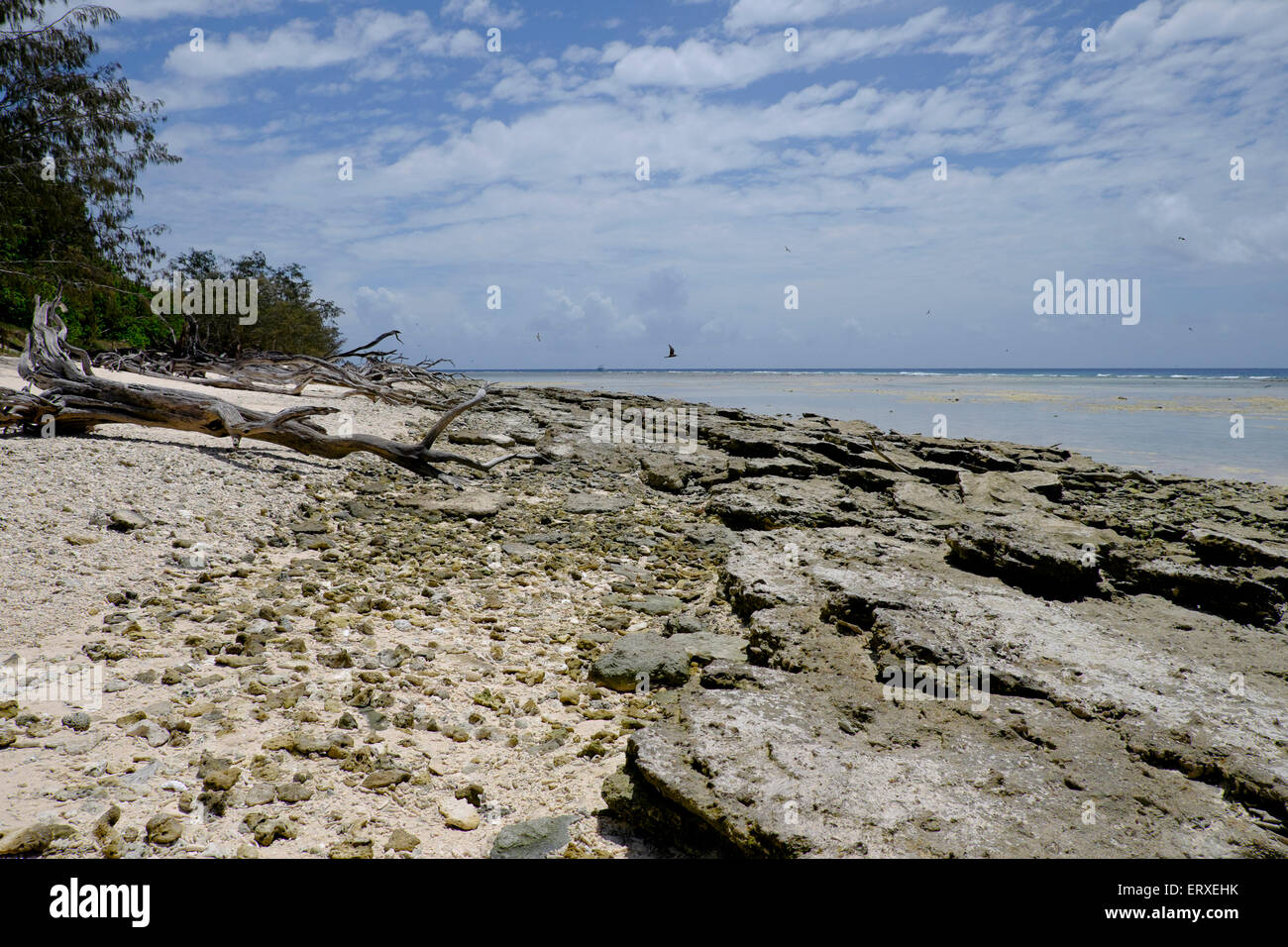 Great musgrave hi-res stock photography and images - Alamy