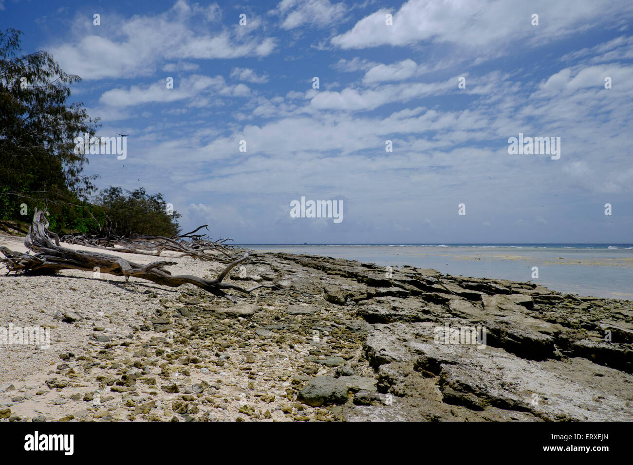At Lady Musgrave Island Stock Photo - Alamy