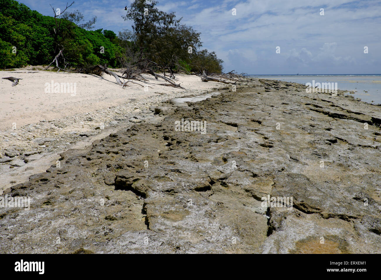 Great musgrave hi-res stock photography and images - Alamy