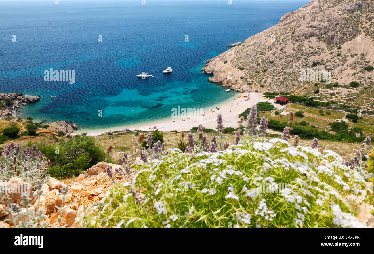 Beautiful beach in Croatia. Island Krk Stock Photo - Alamy