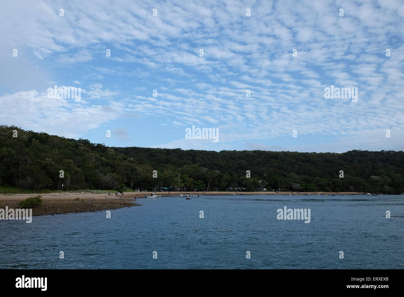 Musgrave transport hi-res stock photography and images - Alamy