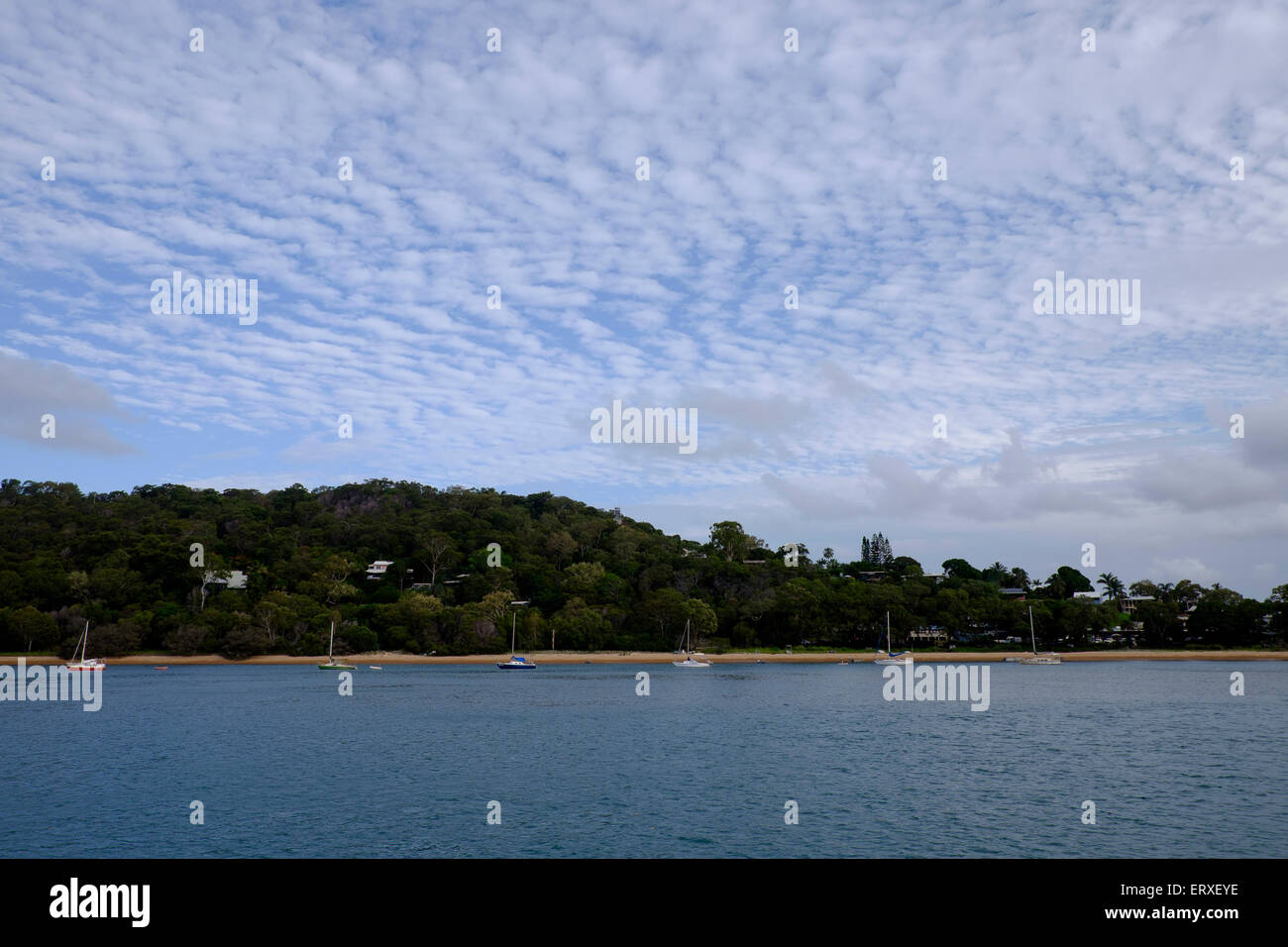 Musgrave transport hi-res stock photography and images - Alamy