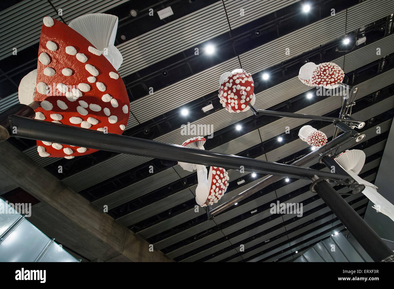 Carsten höller “experience” hi-res stock photography and images - Alamy