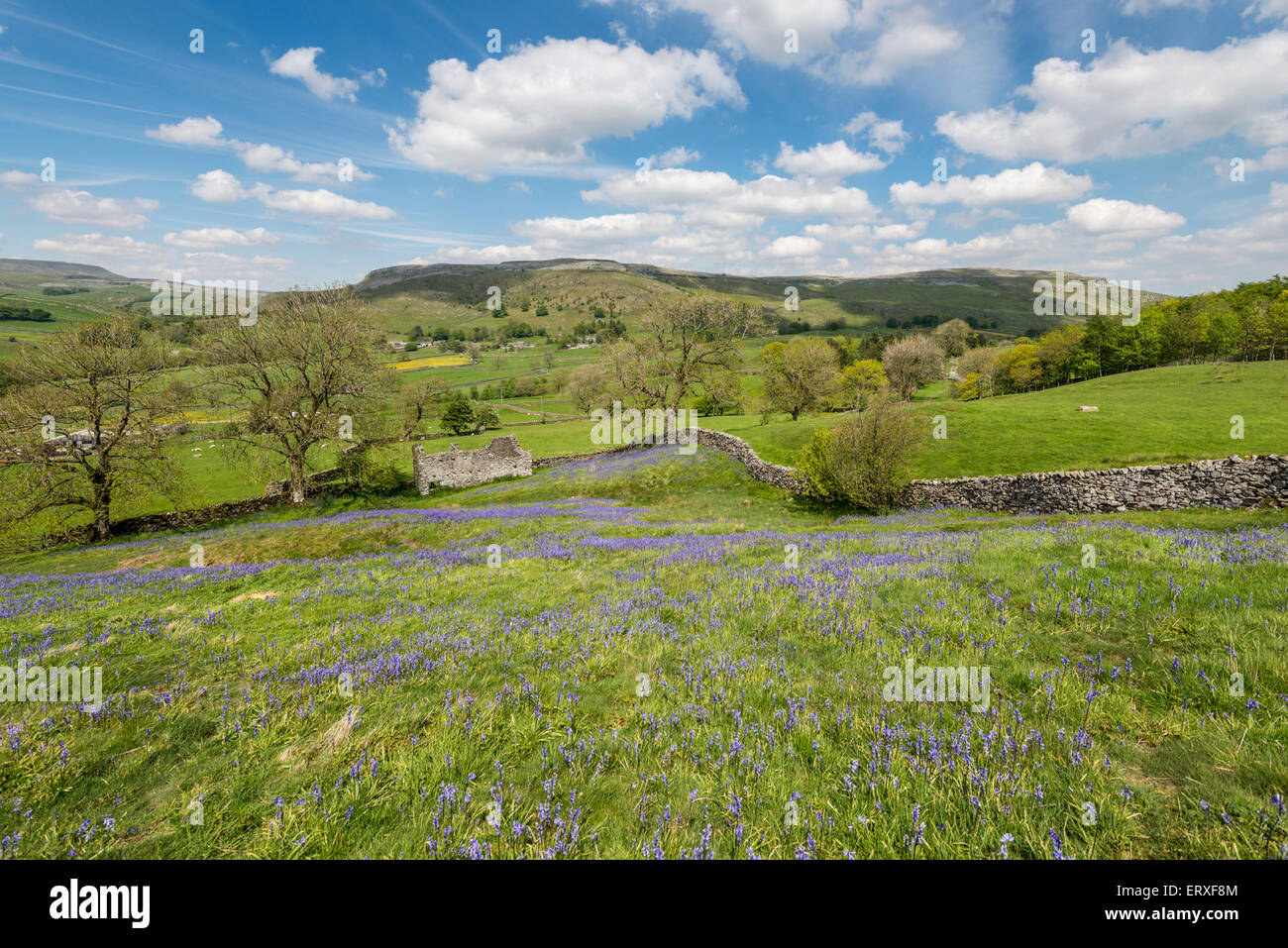 Wharfe wood landscape hi-res stock photography and images - Alamy