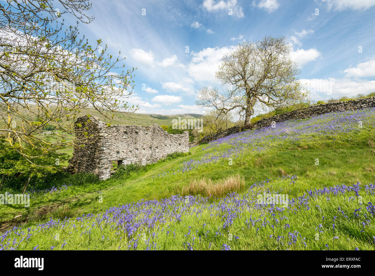 Wharfe wood landscape hi-res stock photography and images - Alamy
