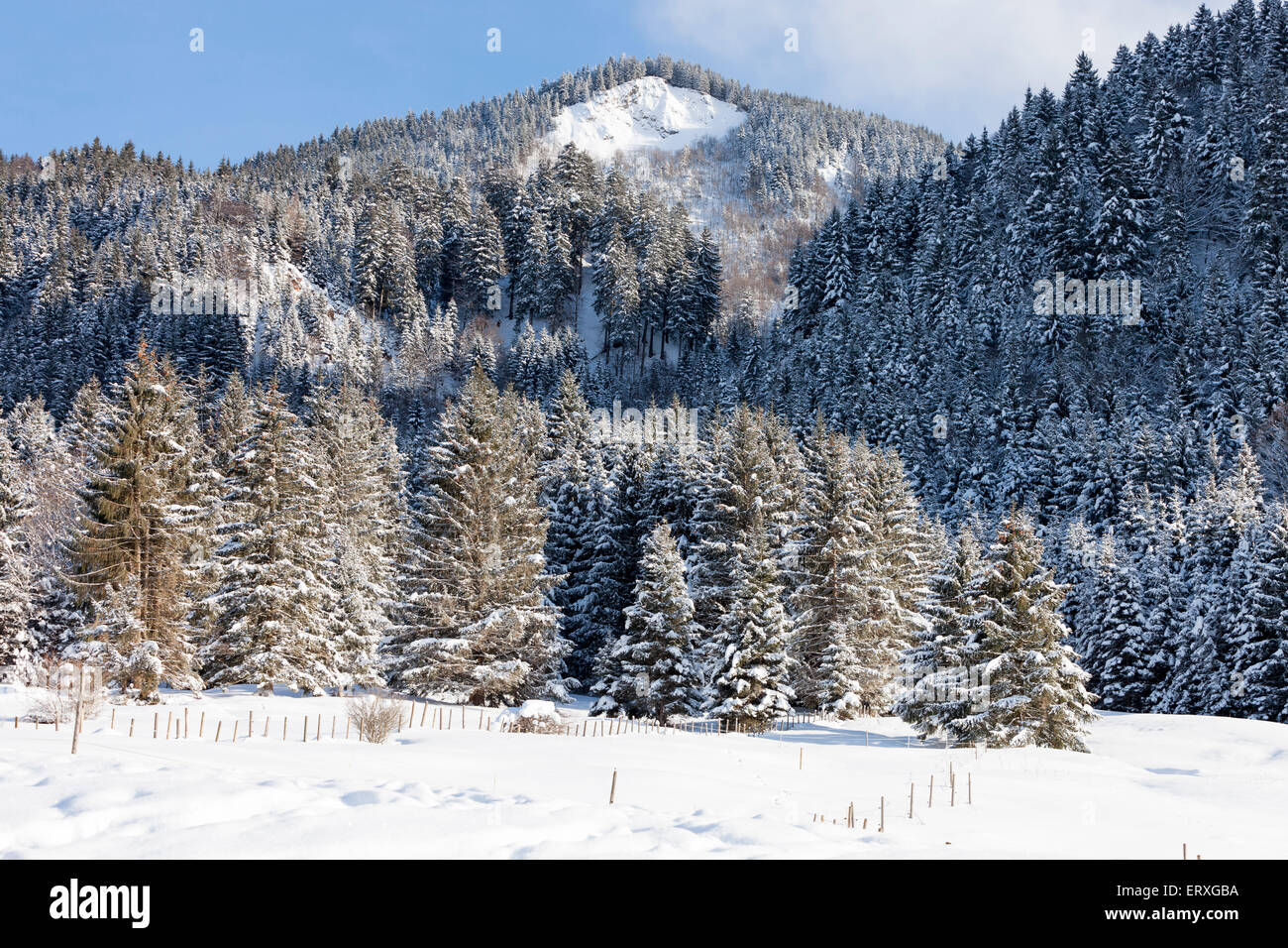 Germany Alps, mountain range covered in snow, winter Stock Photo - Alamy