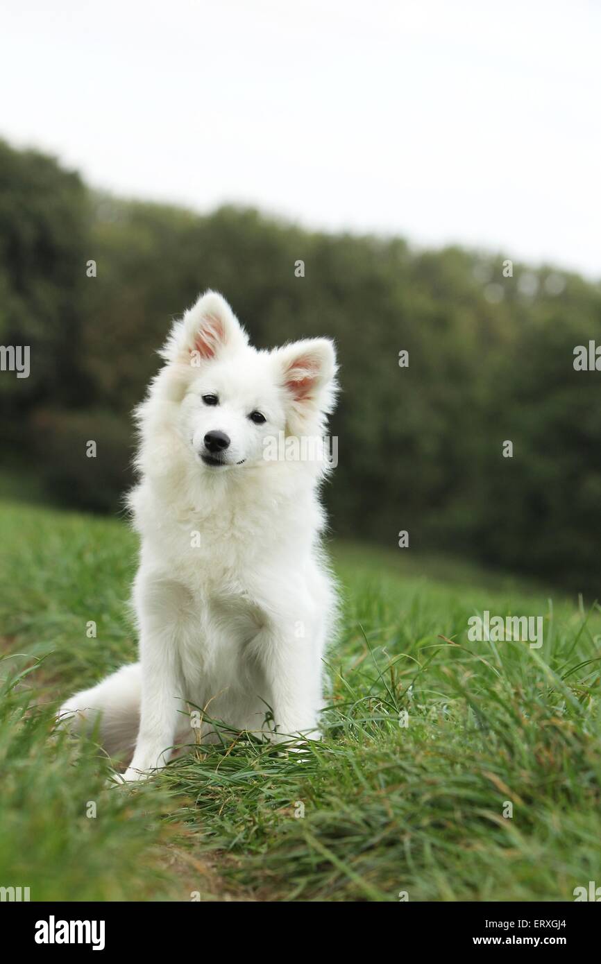 Mittelspitz hi-res stock photography and images - Alamy