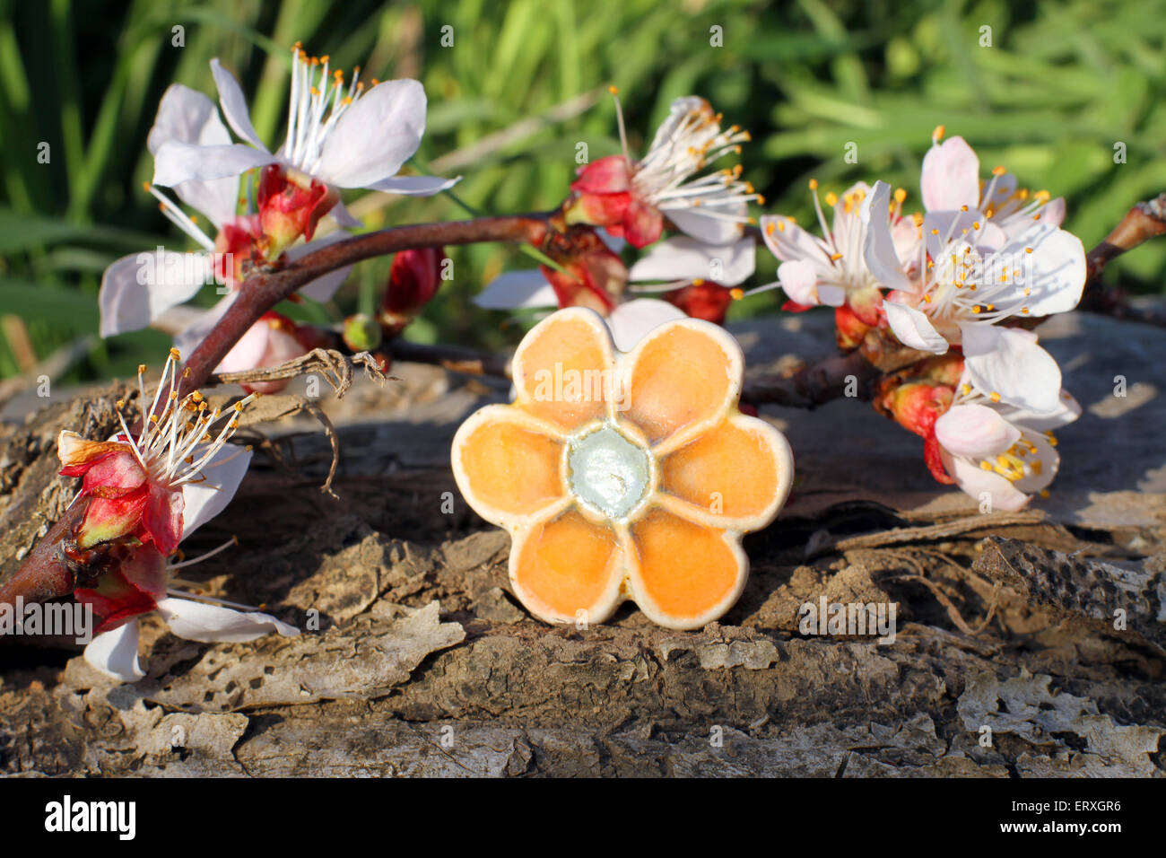 Chain hanging flower hi-res stock photography and images - Alamy