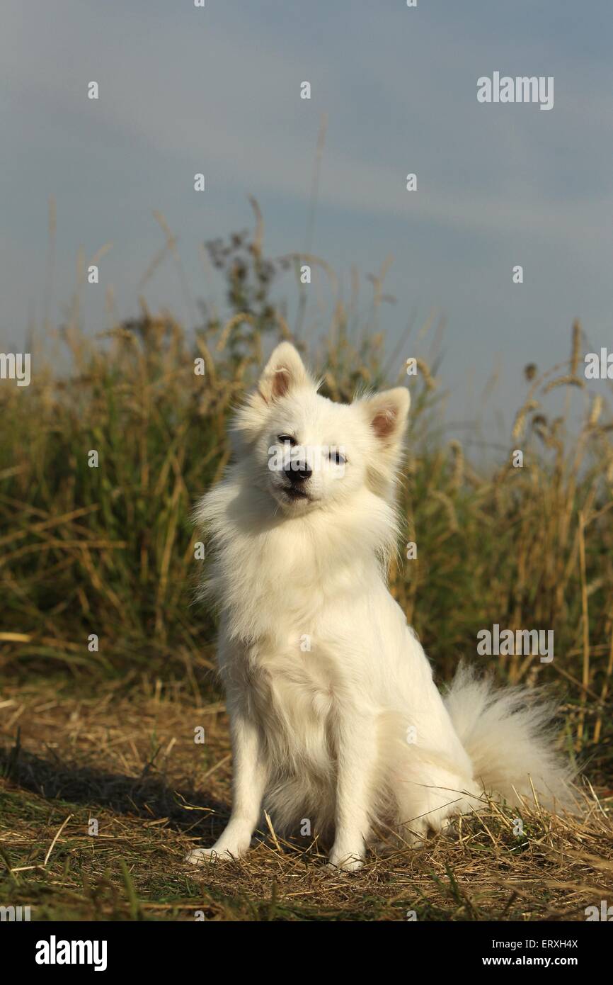 Cloud spitz hi-res stock photography and images - Alamy