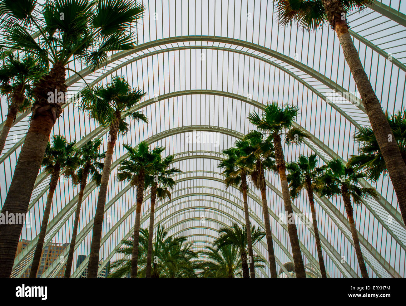 Umbracle arch hi-res stock photography and images - Alamy