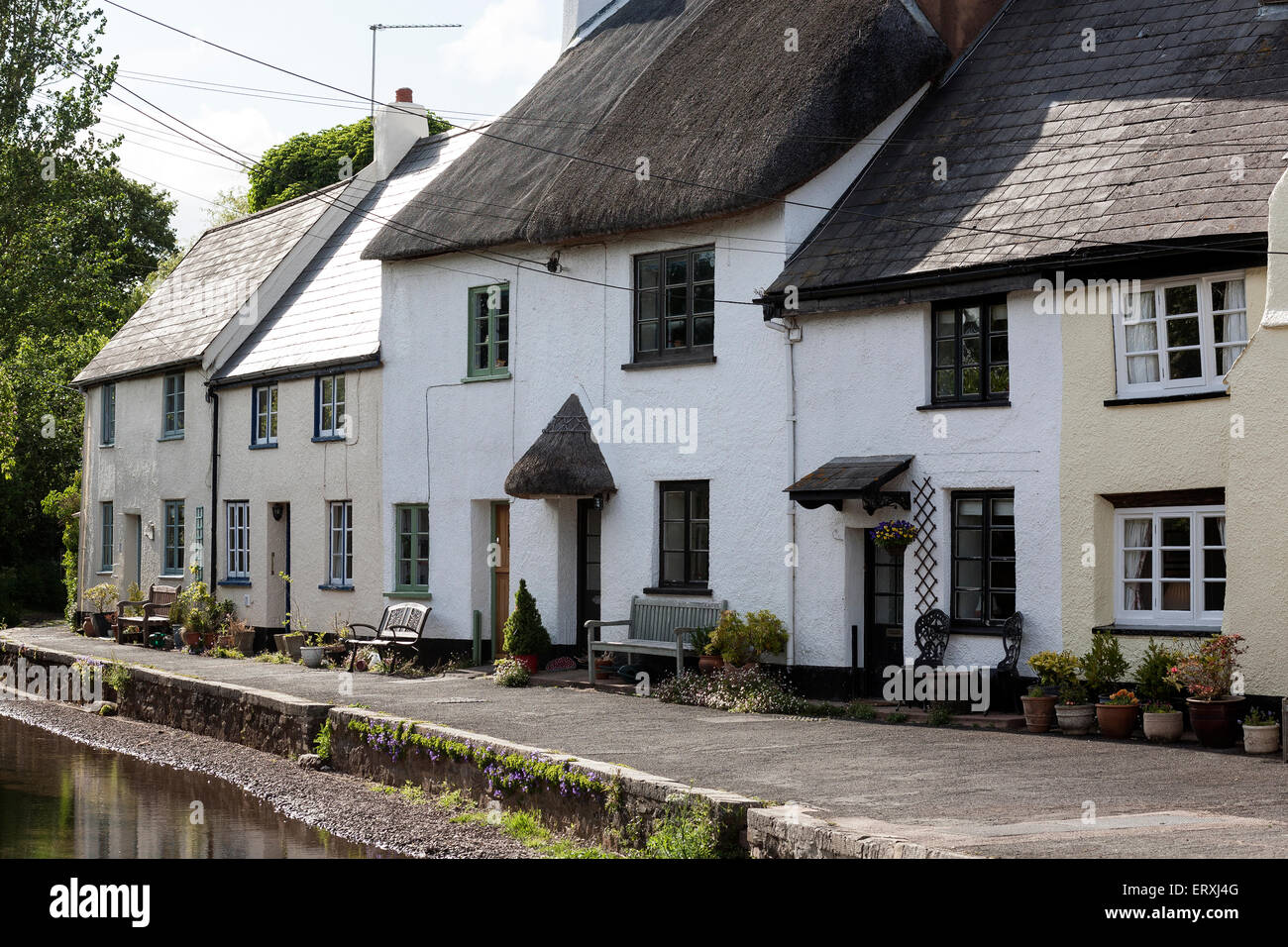 The college ide,ford,terrace,cob and thatch,devon Stock Photo - Alamy