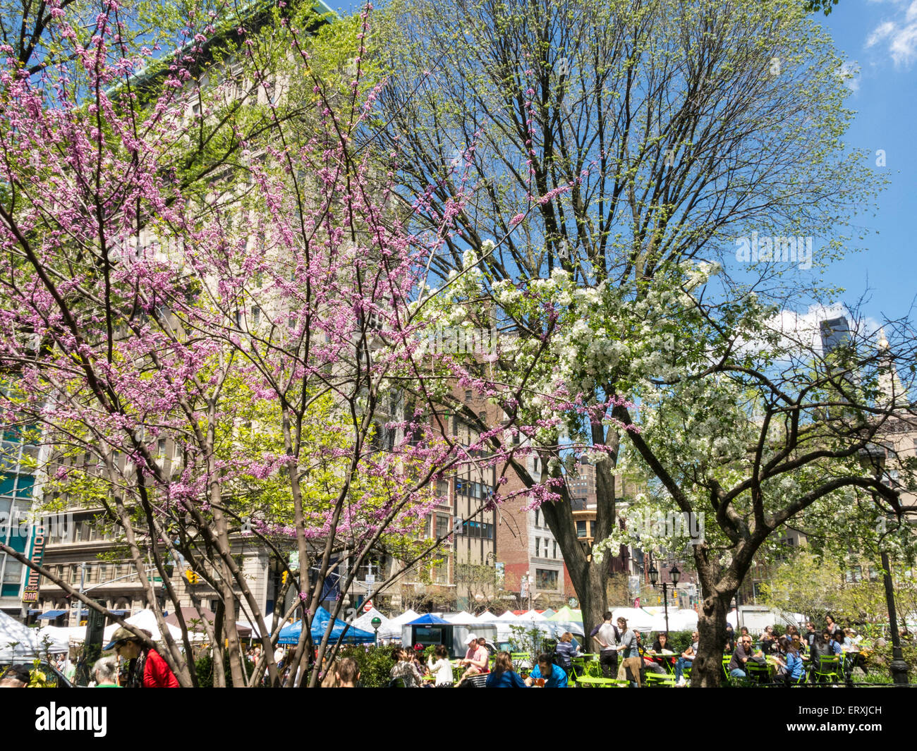 Public park benches hi-res stock photography and images - Alamy
