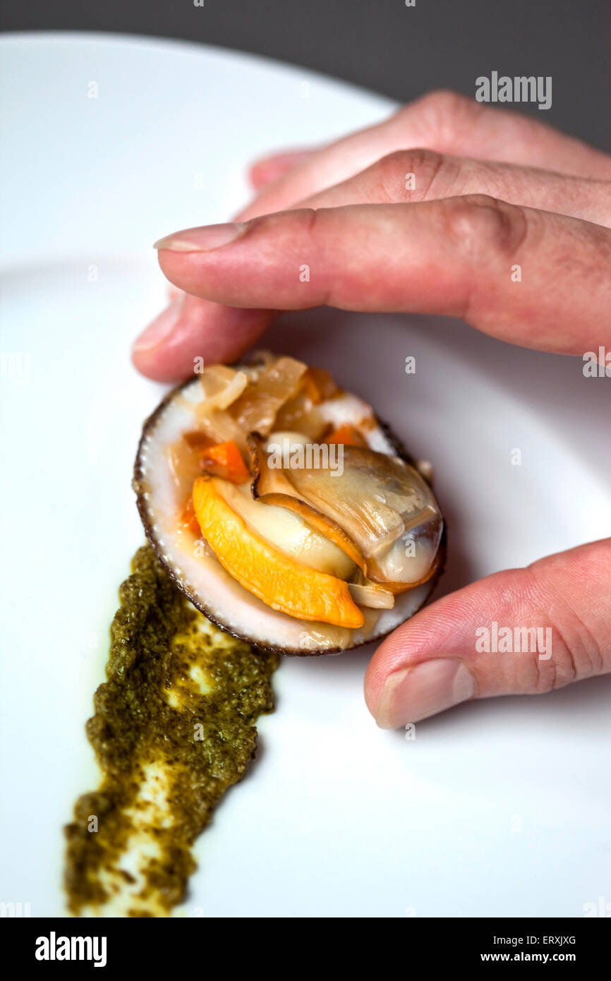Cook putting a shell on a plate, herb sauce Stock Photo - Alamy
