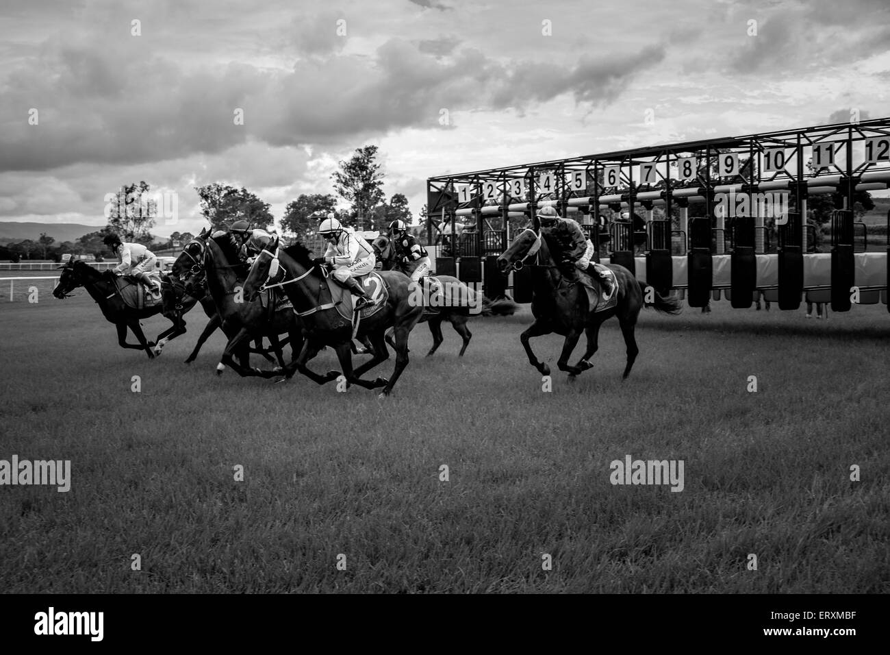 Australian horse race Black and White Stock Photos & Images - Alamy