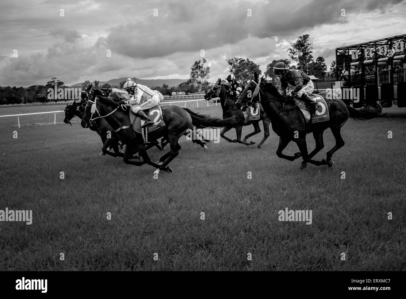 Australian horse race Black and White Stock Photos & Images - Alamy