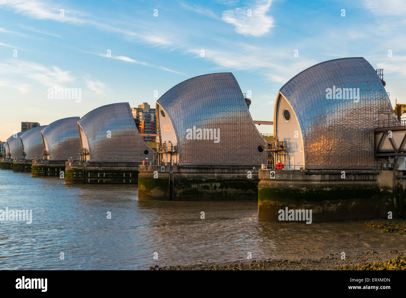 London gateway ecology hi-res stock photography and images - Alamy