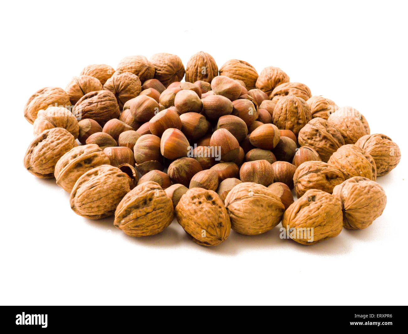 Mixed nuts - hazelnuts, walnuts isolated over white background Stock ...