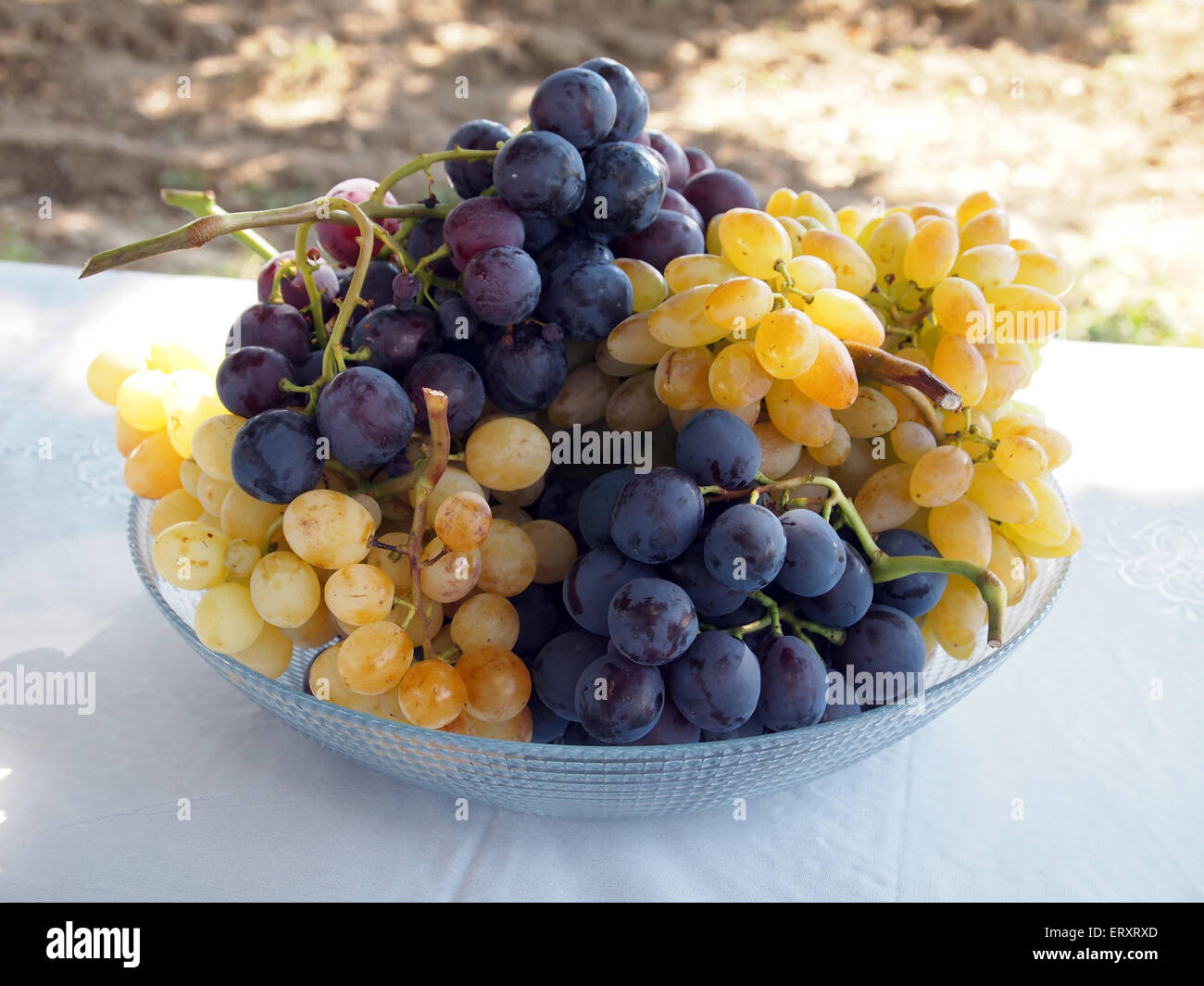 purple and yellow grapes Stock Photo - Alamy