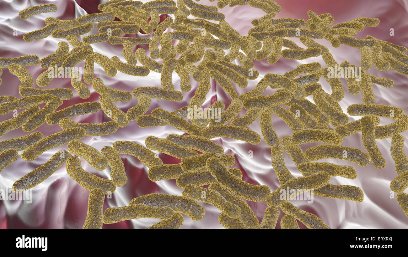 concept tissue infection by bacteria 3d rendering Stock Photo - Alamy