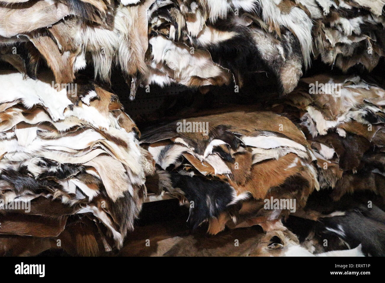 stack of animal skins Stock Photo - Alamy