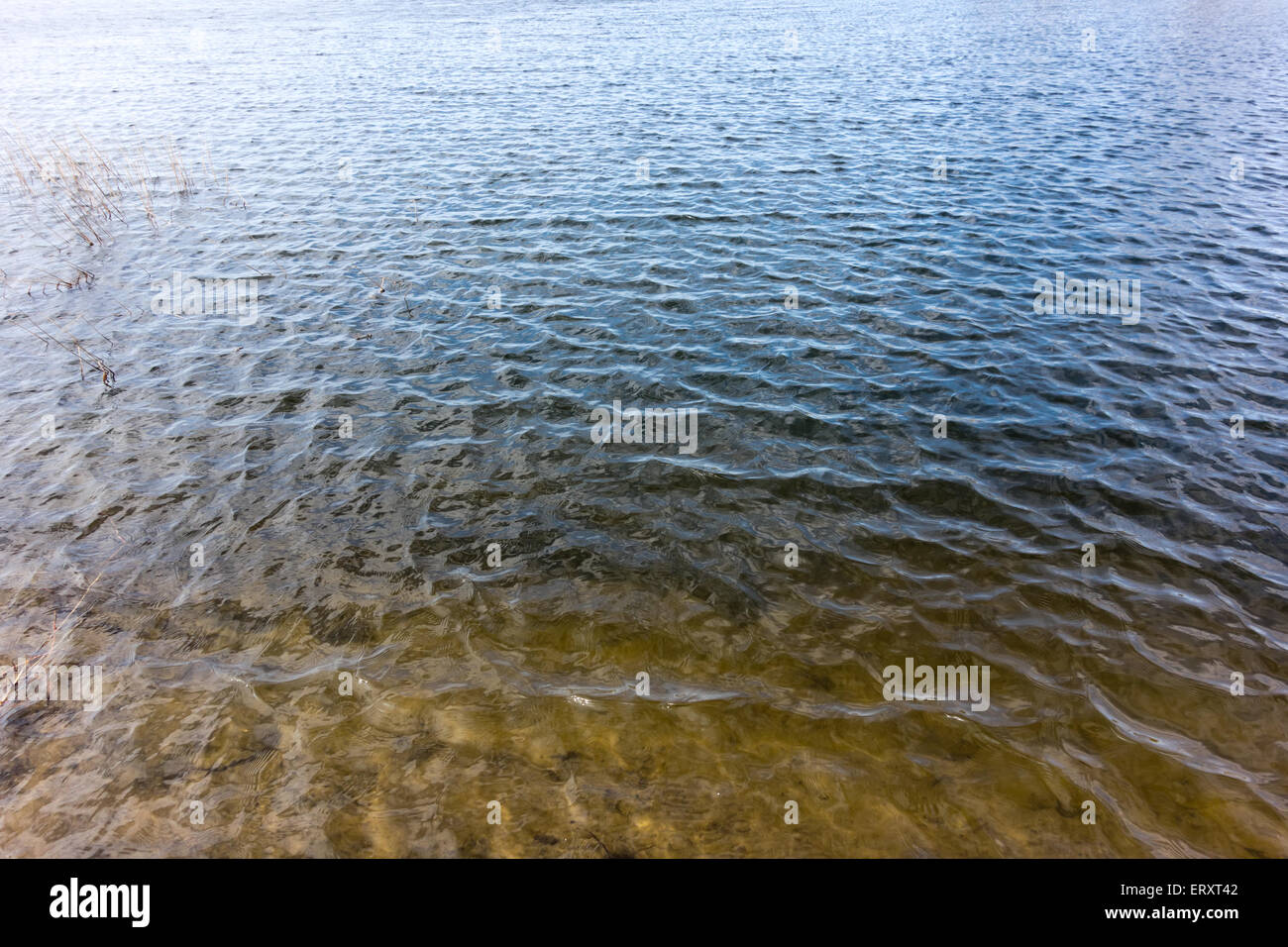 lake water background Stock Photo - Alamy