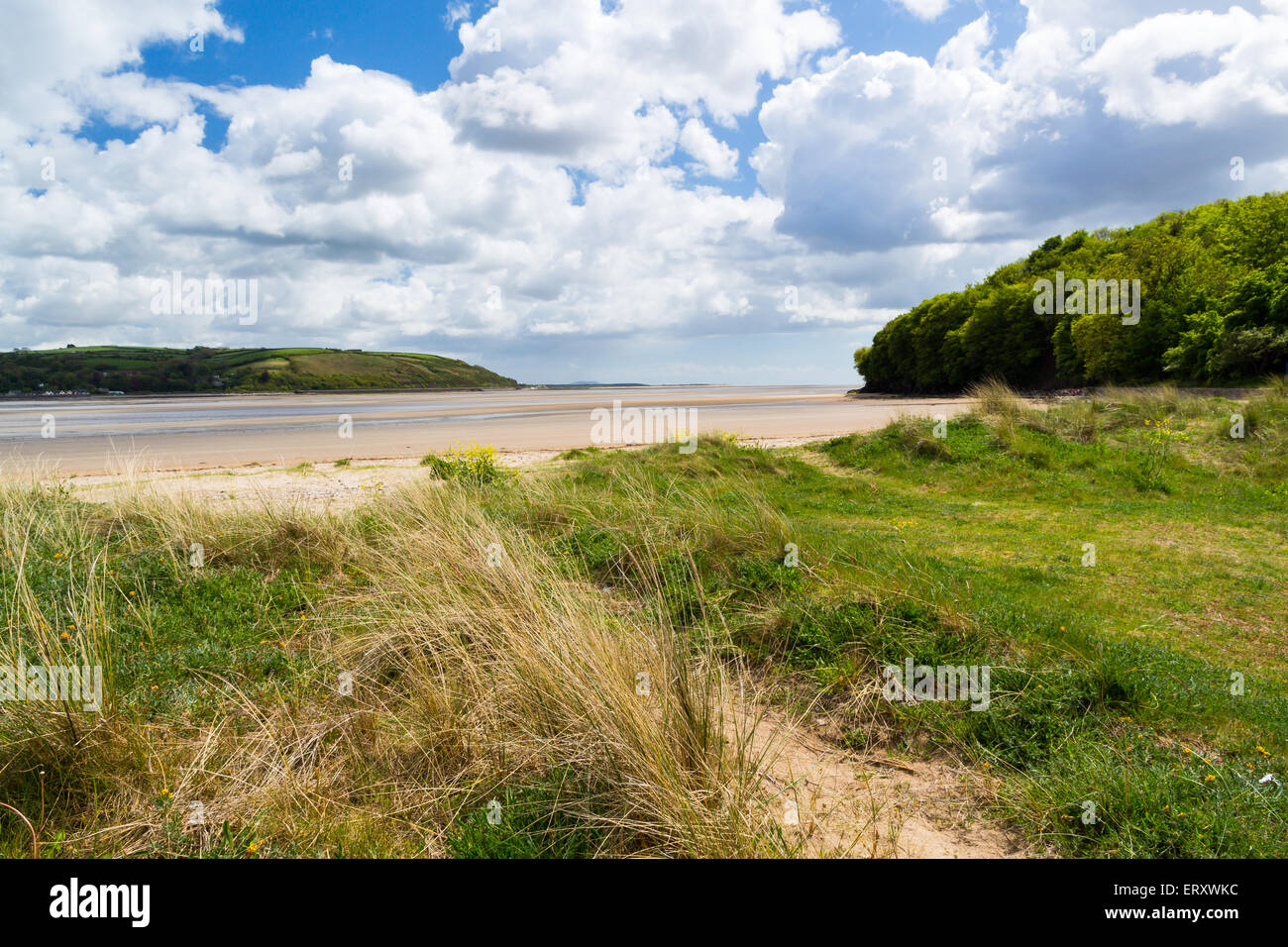 Tywi towy river hi-res stock photography and images - Alamy