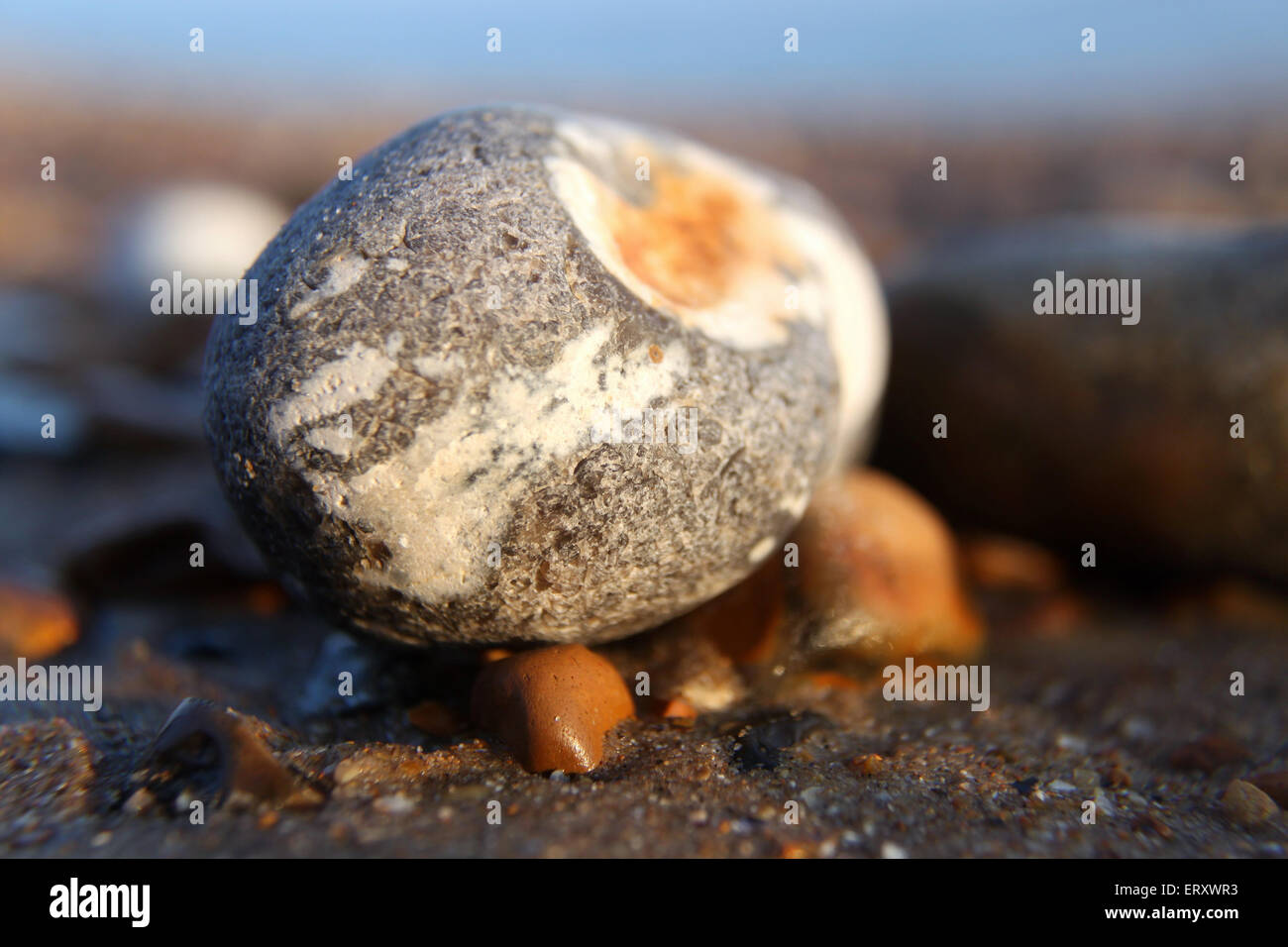Single pebble sand on beach Stock Photo - Alamy