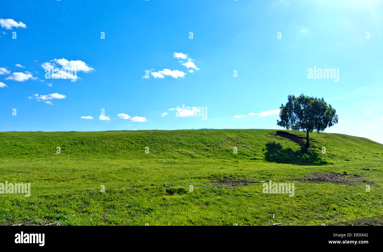 tree and green field Stock Photo - Alamy