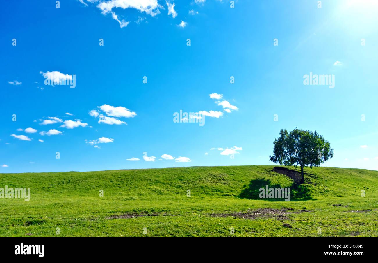 tree and green field Stock Photo - Alamy