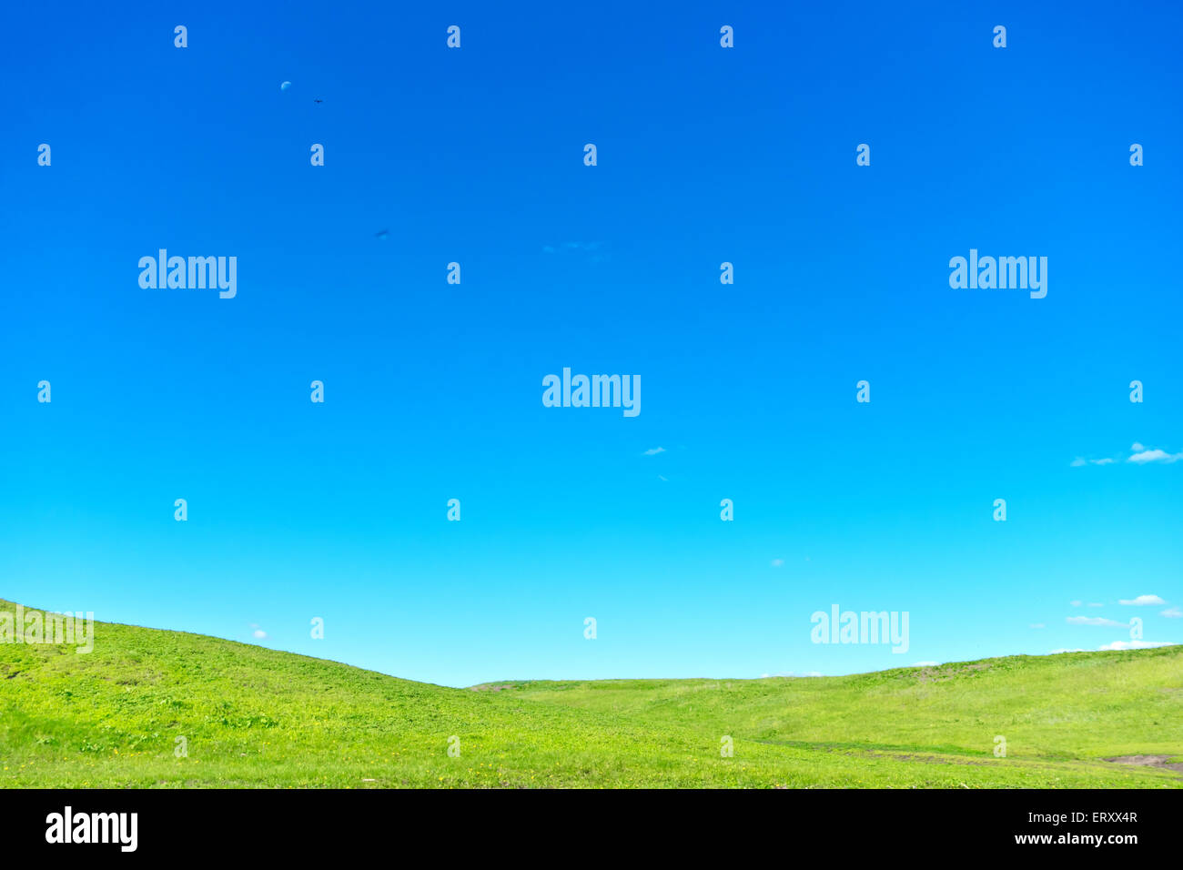 blue sky and green field Stock Photo - Alamy