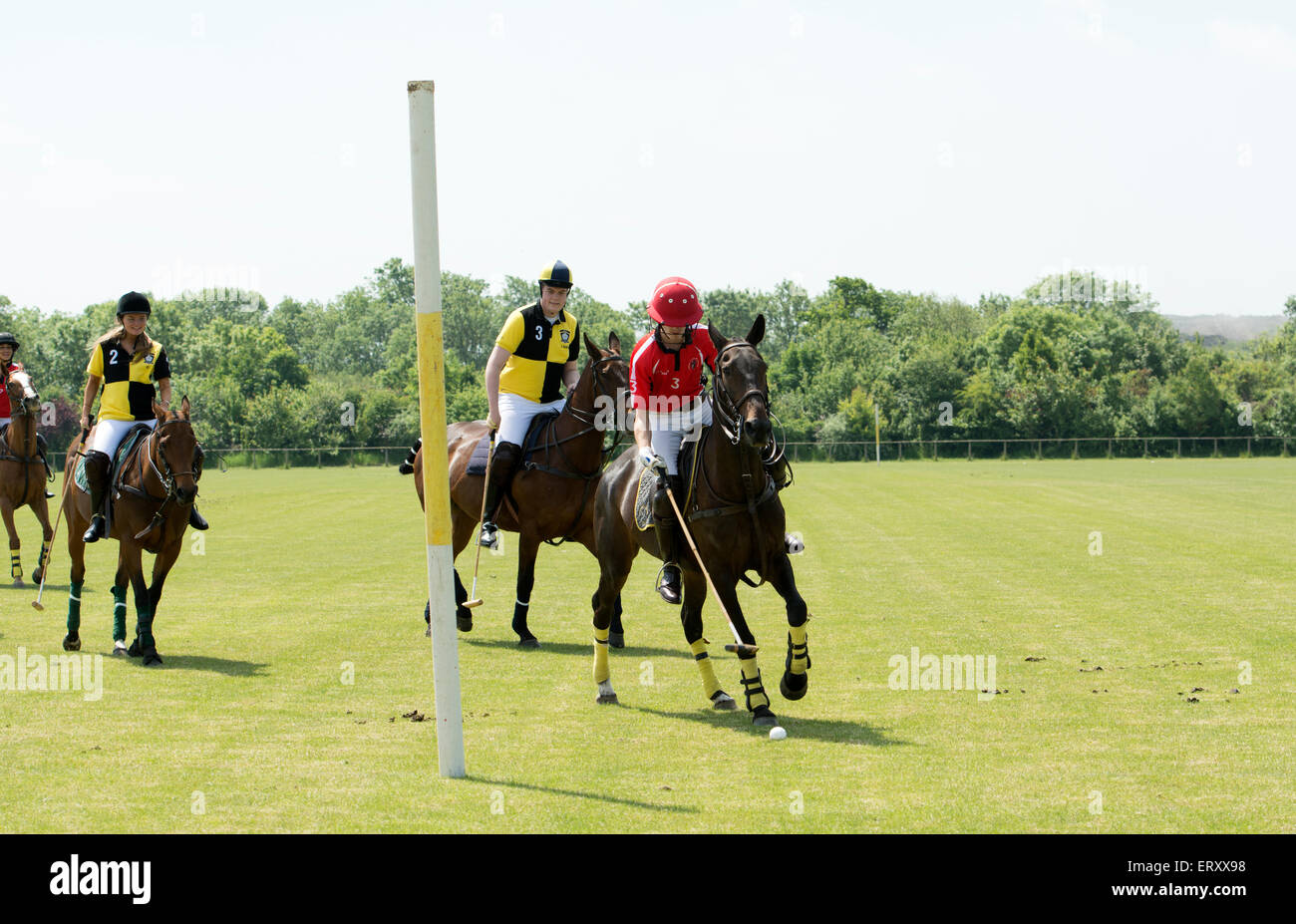 University students polo match Stock Photo - Alamy