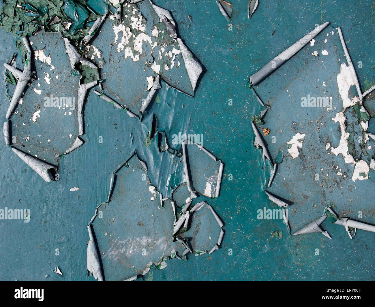 Green paint flaking off an old sheet steel roof on an old industrial ...