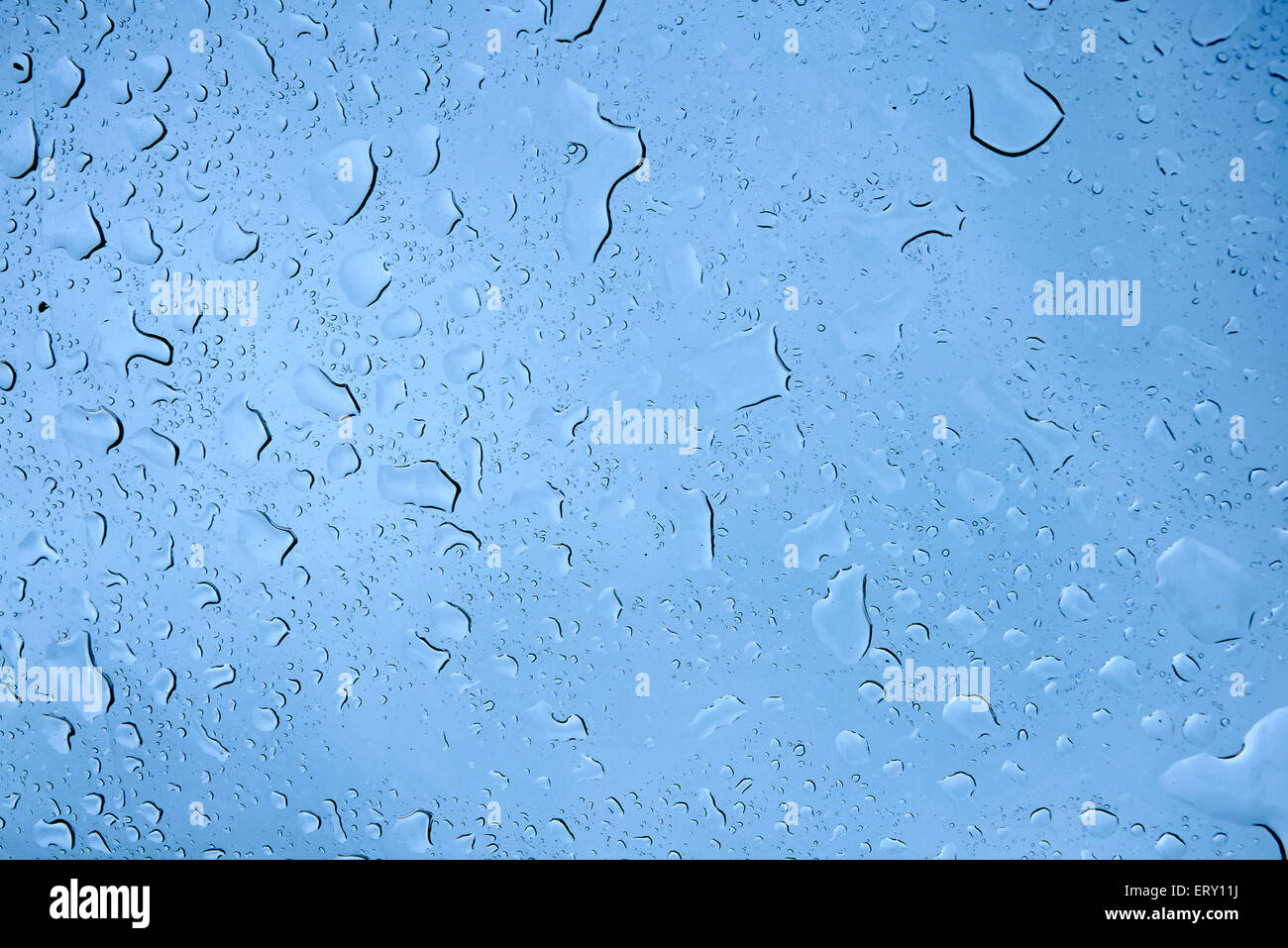 Rain drops texture on a transparent surface Stock Photo - Alamy