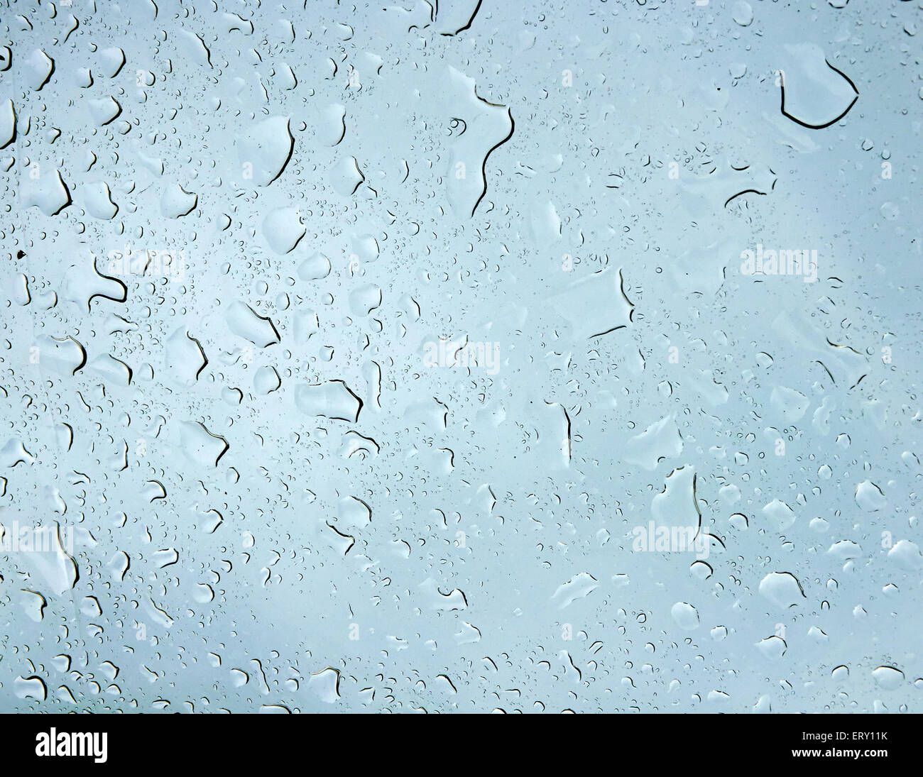 Rain drops texture on a transparent surface Stock Photo - Alamy