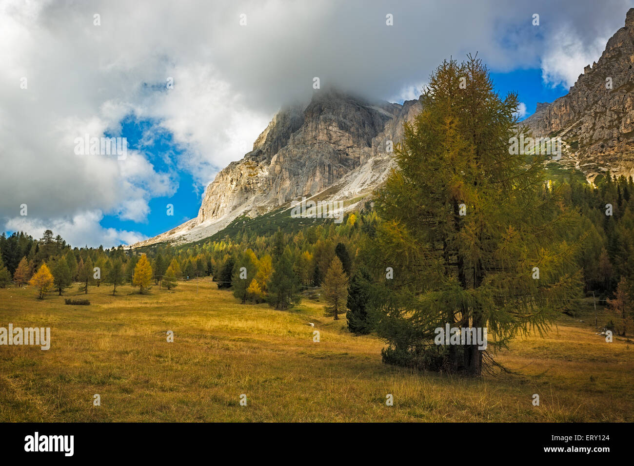 Landscape in autumn at Passo Falzarego, Dolomites, Italian Alps Stock ...