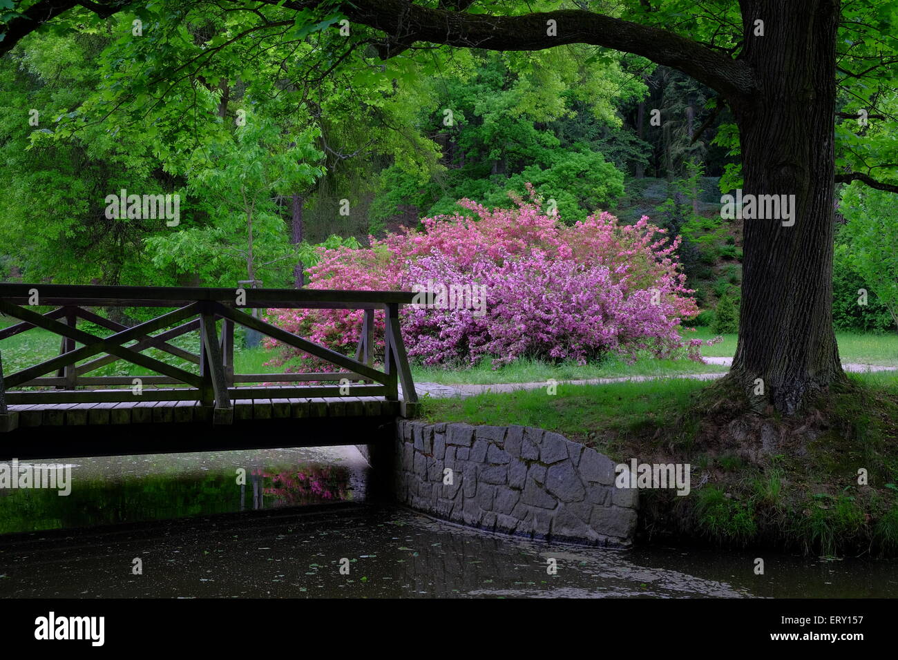 May scenery in the Pruhonice Park with a bridge over the Botic stream ...
